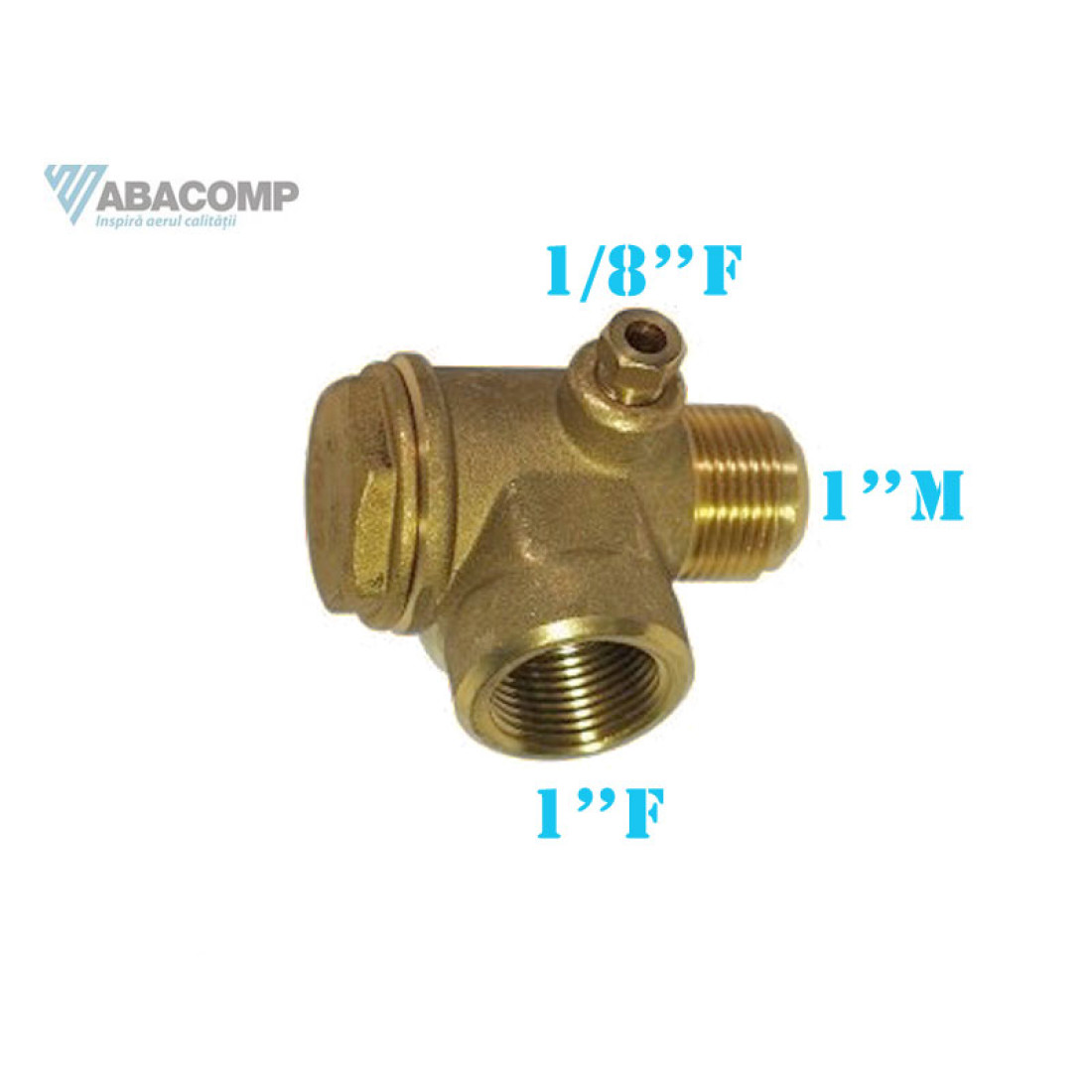 1F-1M Non Return Valve Abc 9048018 Abac- Abacomp